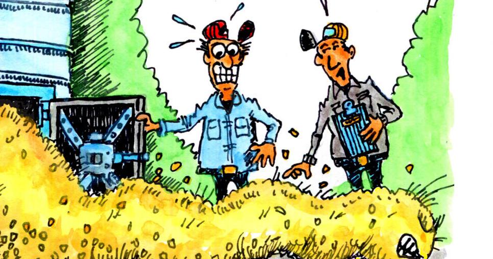 Corn Time by Bob Lang