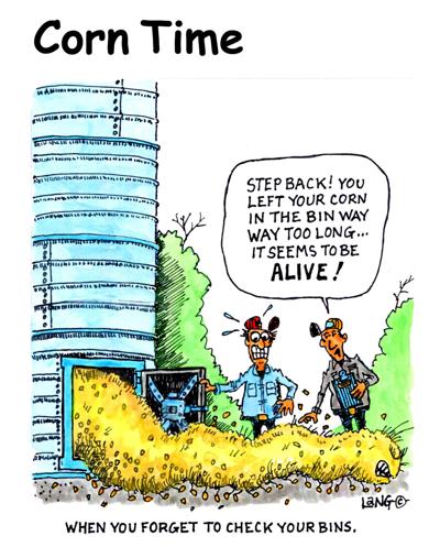 Corn Time by Bob Lang