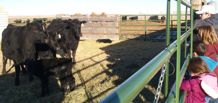 Andrews prepares air seeder to plant grass in new pasture