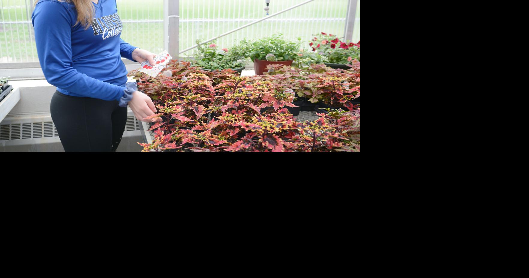 FFA plant sale offers variety