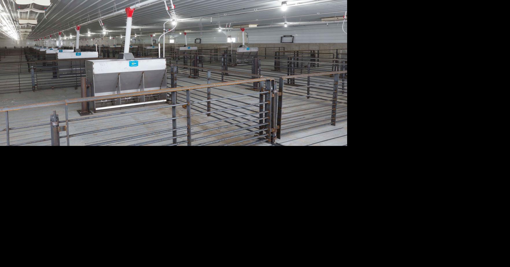 Made to last: Producers update hog buildings with new tech