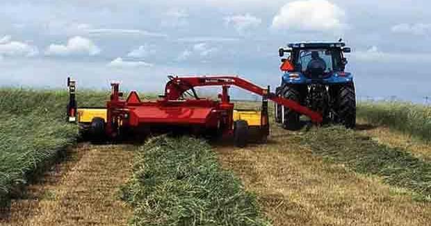 Testing your hay? When to test hay and what to look for