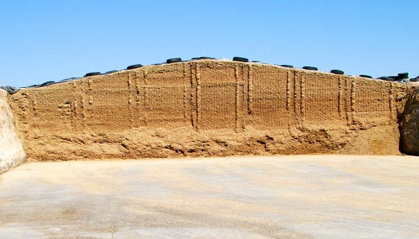 Know your silage plastic potential