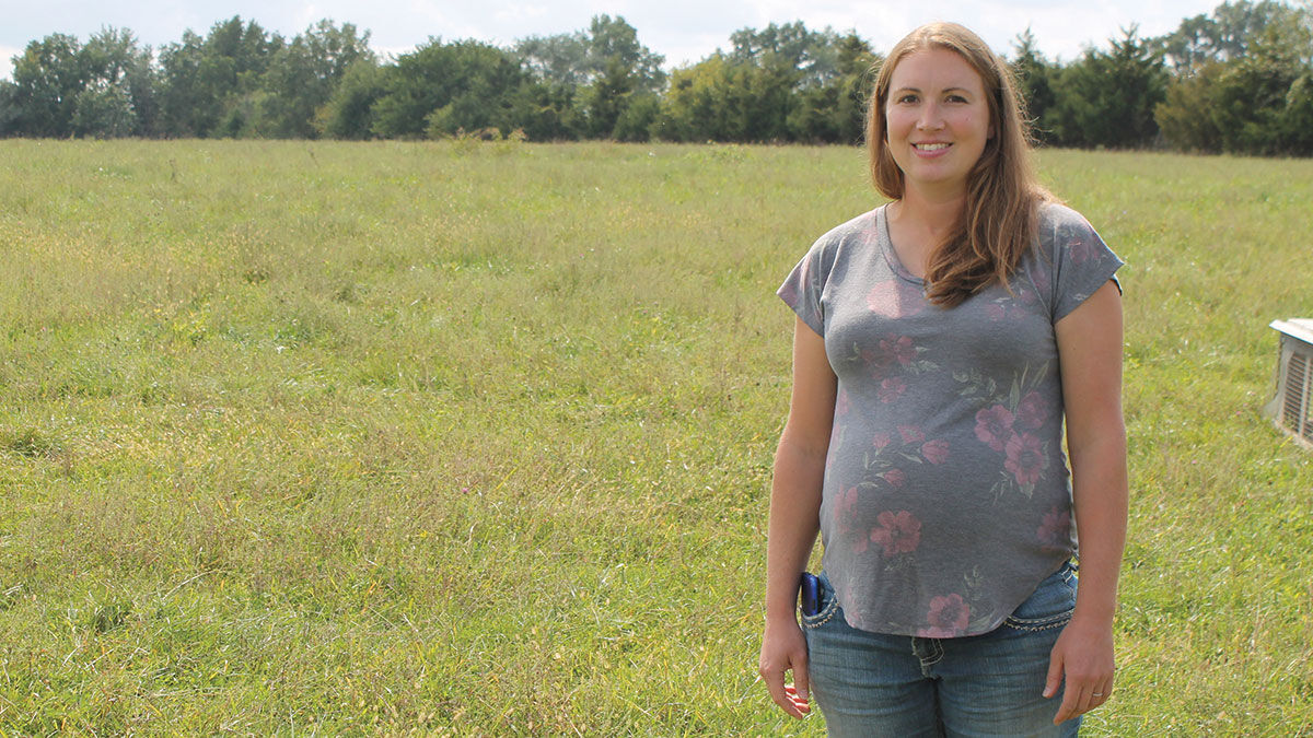 Farm family raises pigs ‘like grandparents’ for direct sale