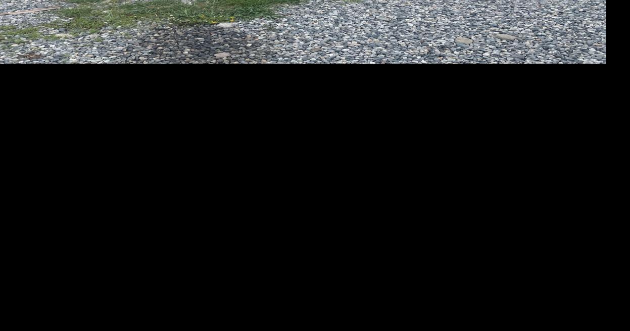 Youth builds coffee business to save for ranch