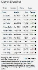 Markets snapshot 040924