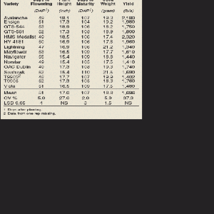2009 Navy Variety Trial, NDSU - Hatton Authors, J. Osorno and J. VanderWal.