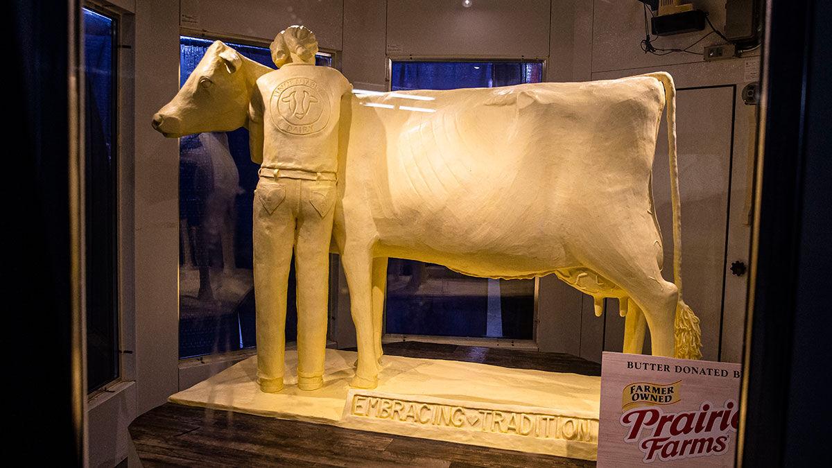 2021 Illinois State Fair Butter Cow unveiled