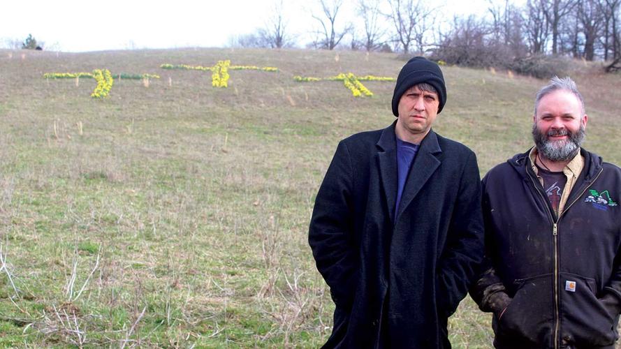 Daffodils brighten farm community each spring