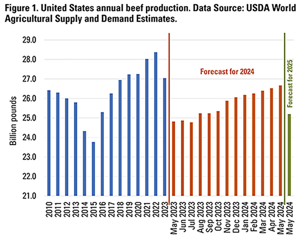Why USDA beef supply forecasts change over time