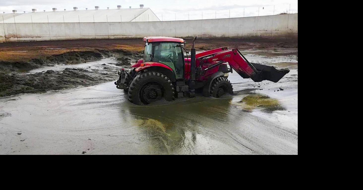 EPA considering mandate on livestock emissions reporting