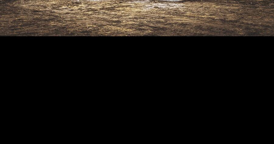 Gehl Mid-Range CTLs/Skid Steers