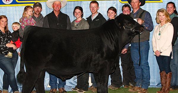 Judd Ranch bulls find strong demand with futurity members