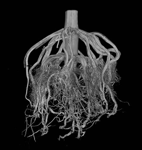 Ag research responds to current issues, future needs