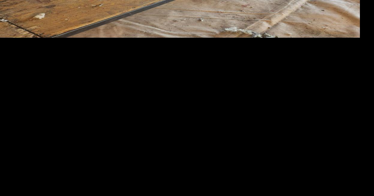 MSU’s beginner wool harvesting school draws variety of students