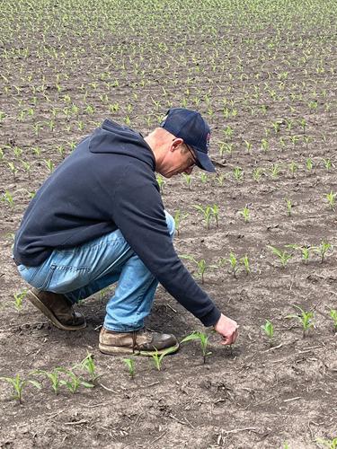 Illinois Farmer Today Spring Planting 2024