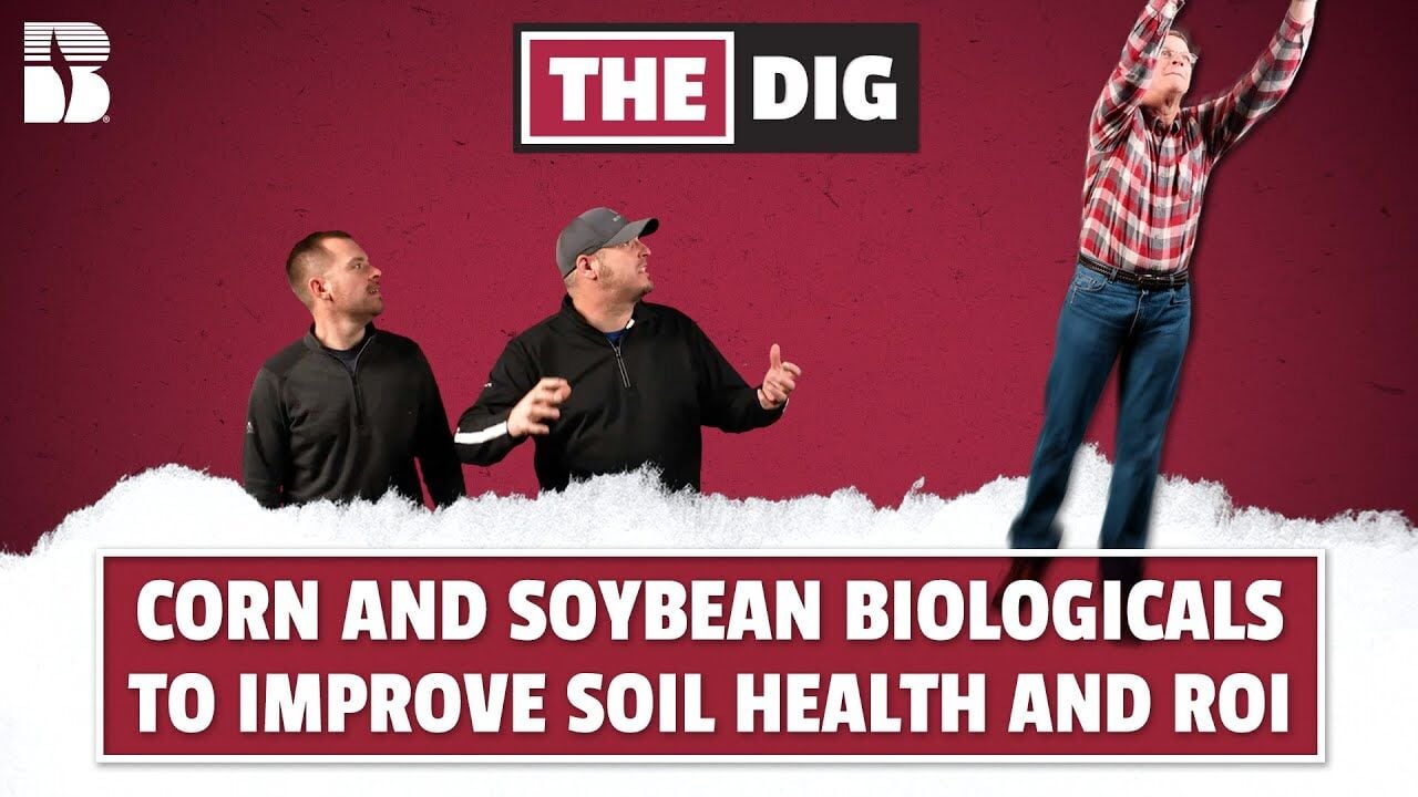 Midwest Messenger | agupdate.com