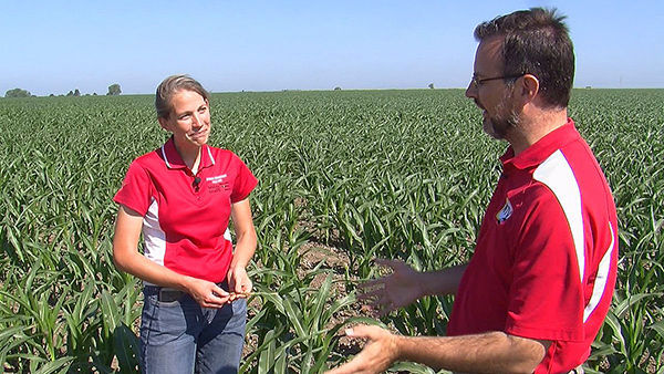 Passionate about helping