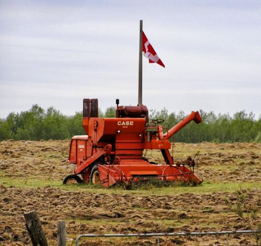 canada's breadbasket