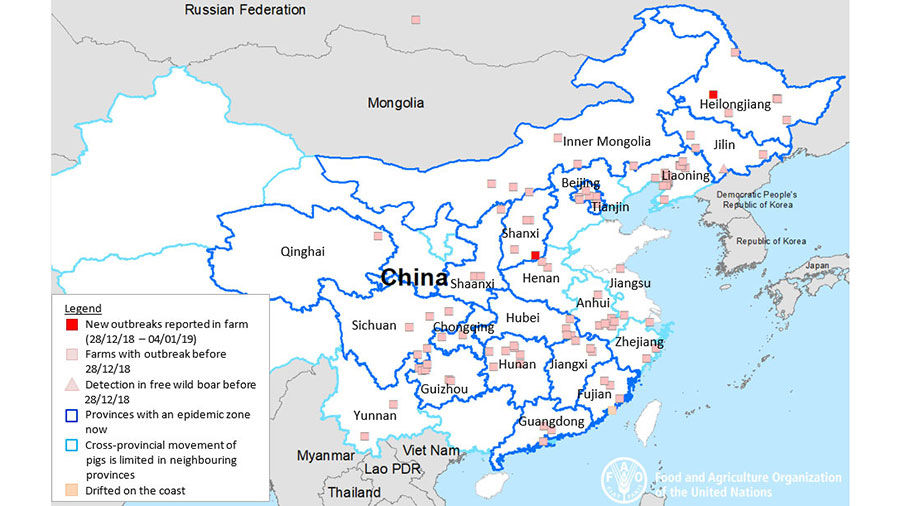 Struggle with African swine fever continues