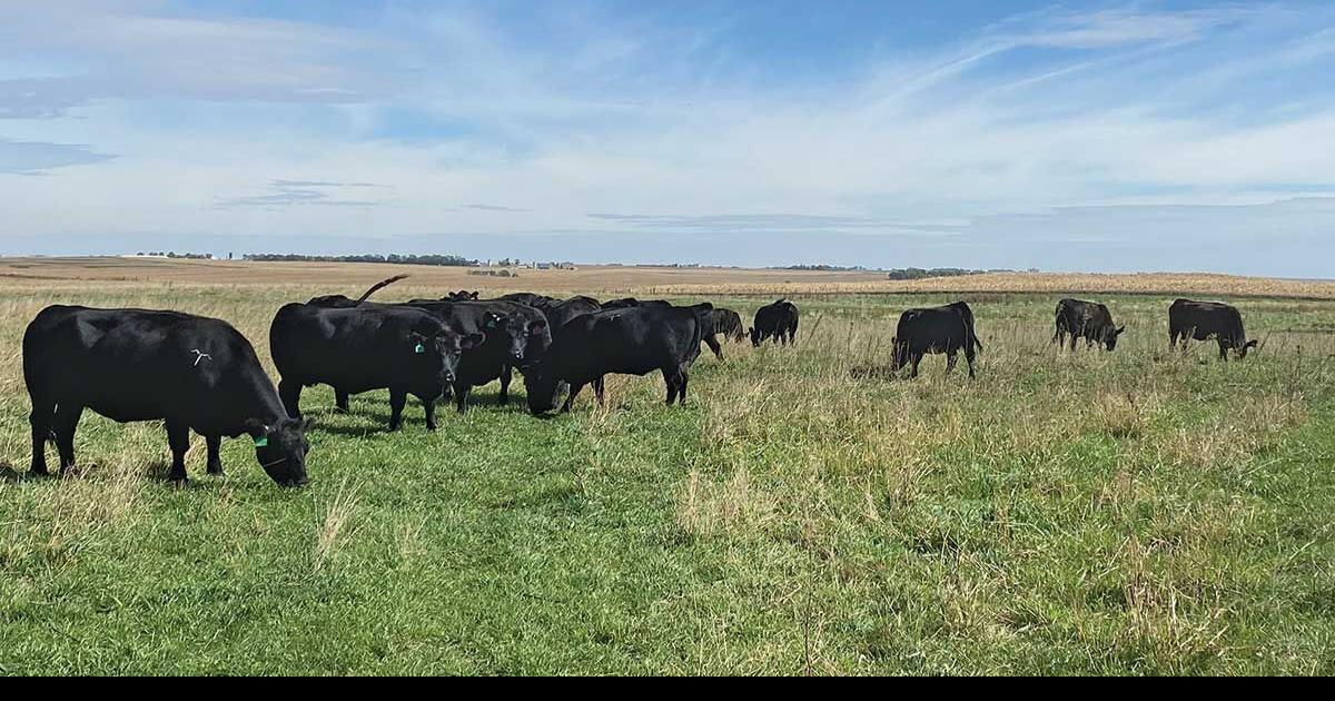 Precision grazing, conservation focus of Nebraska conference