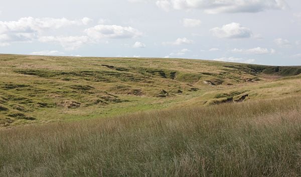 USDA to open signup March 16 for Conservation Reserve Program Grasslands
