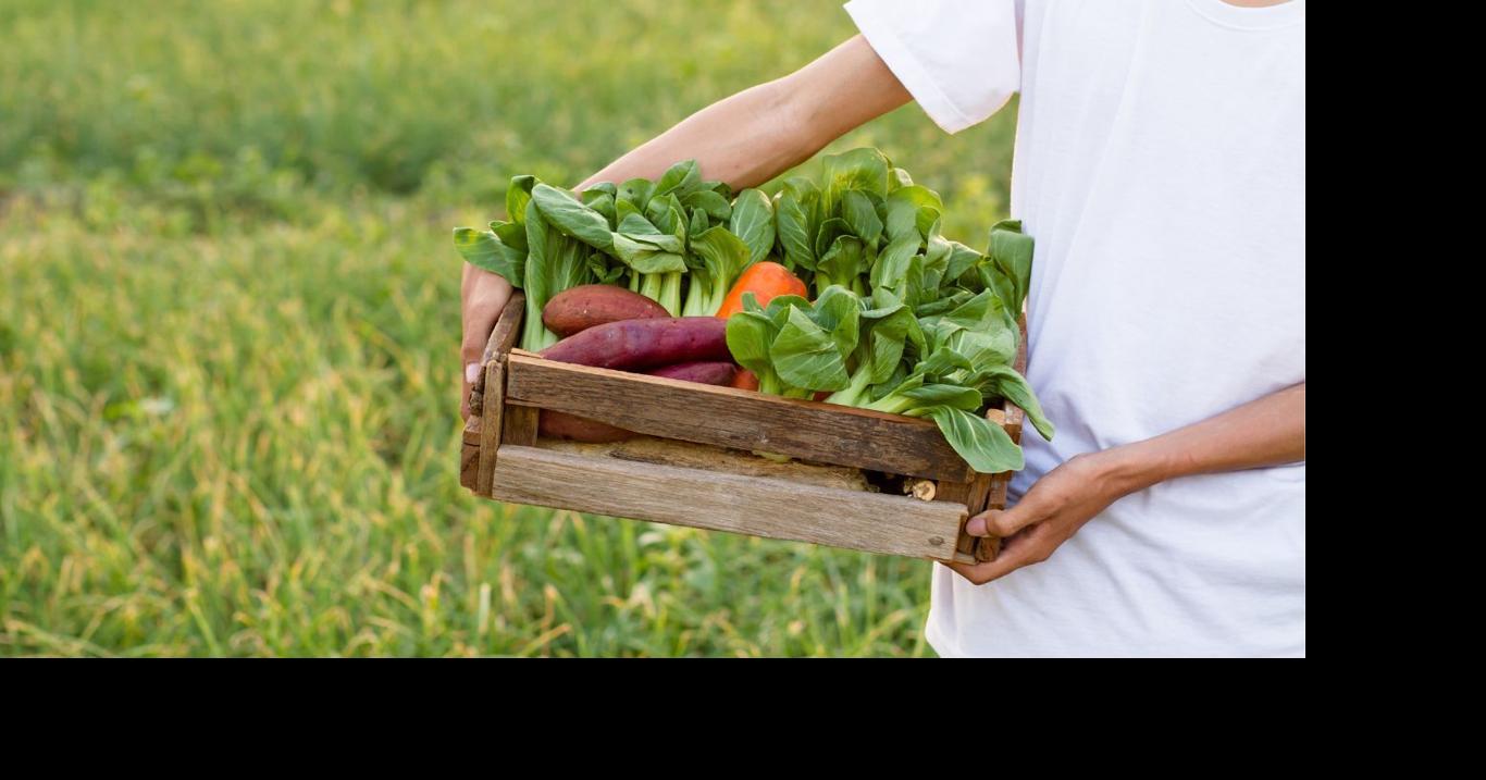 Container farming seeks to solve land access issues