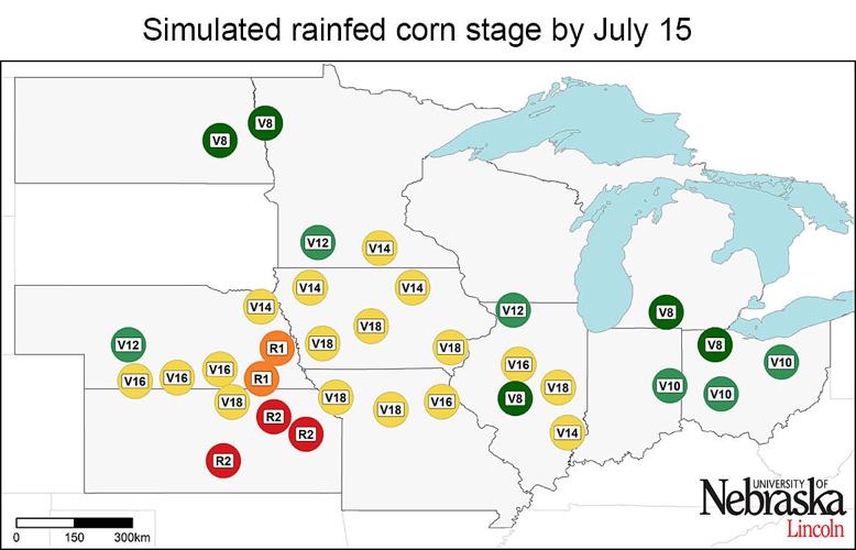 Harvest 2019: Find the right tool for corn yield predictions