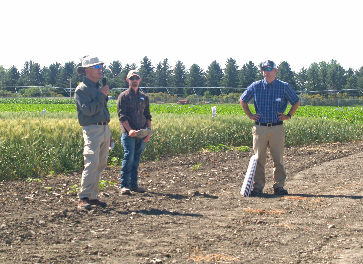 Low pH tolerance, novel traits part of MSU durum program