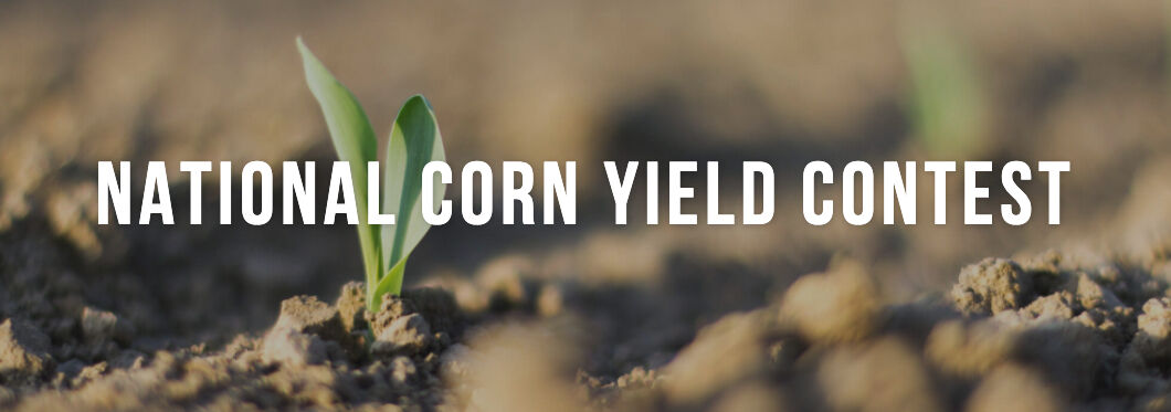 Corn yield winner credits seed, growing conditions for bumper crop