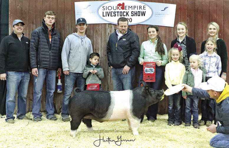 SELS results: Market swine show draws 64 entries