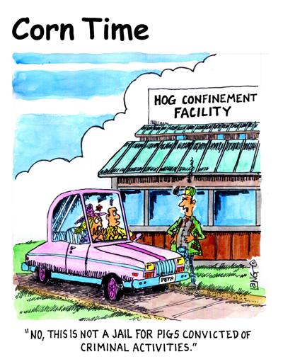 Corn Time by Bob Lang