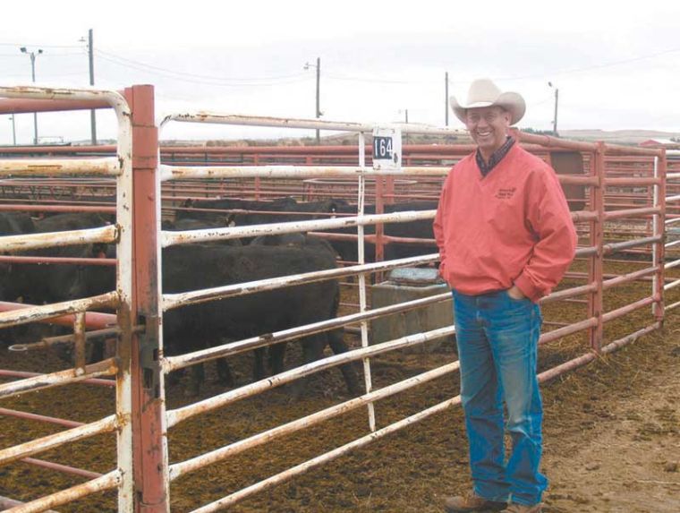 Southwestern ND auction marketer Schnell wins national BQA award