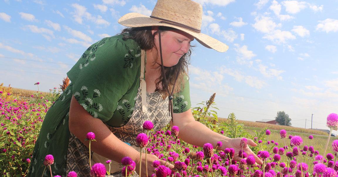 Farmer uses flowers to diversify income