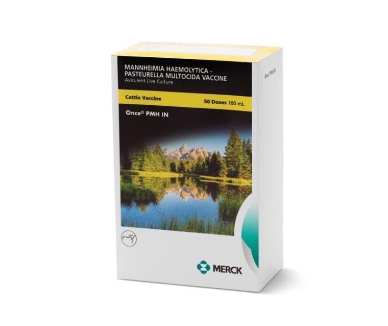 Merck Animal Health introduces Once PMH® IN