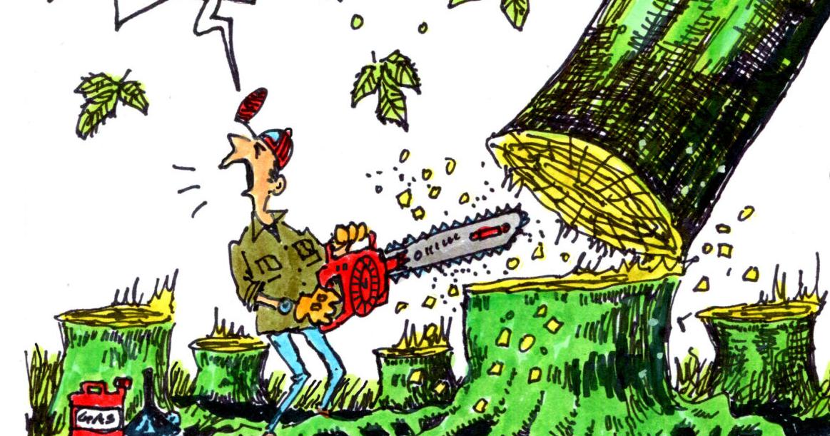 Corn Time by Bob Lang