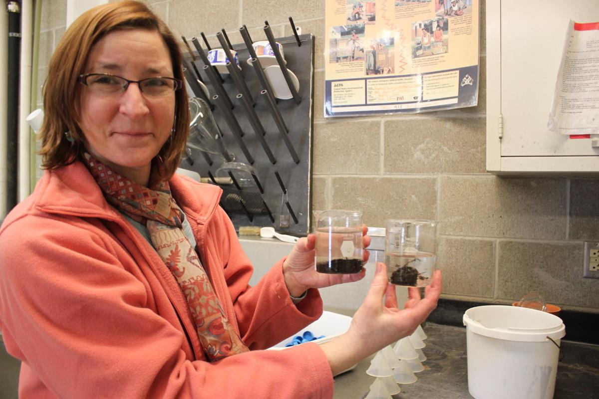 Simple tests can show soil activity on the surface and below