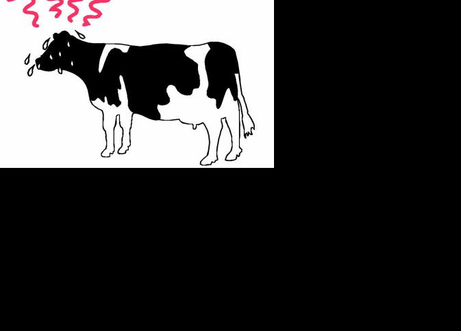 Heat stress for cattle may cost billions by century’s end