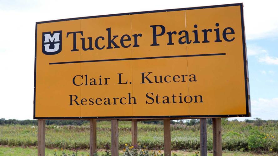 Central Missouri’s Tucker Prairie provides research opportunities