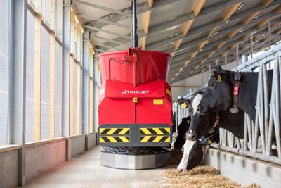 Robotic cattle feeding system, improving efficiency and performance