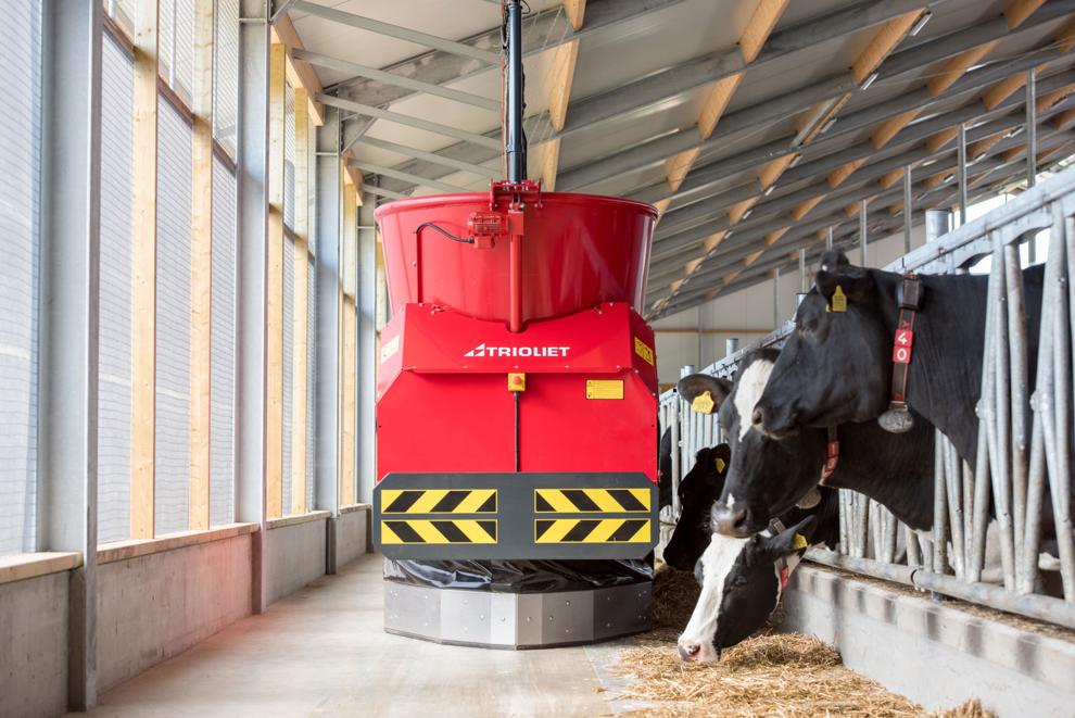 Robotic cattle feeding system, improving efficiency and performance