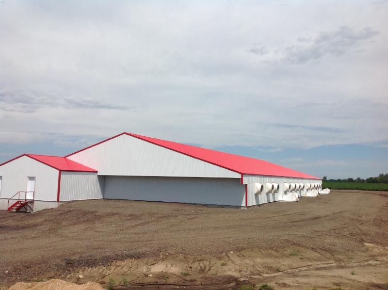 Brothers expanding family hog operation, invite public in for viewing.