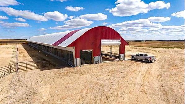 The Versatility Of Hoop Barns Livestock
