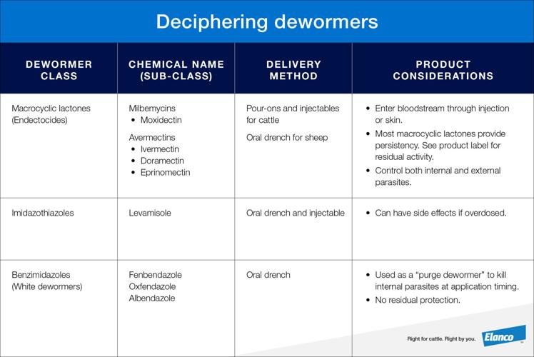 Effective parasite management in beef calves: What to know