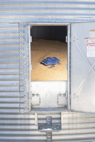 Grain robot stabilizes the unstable