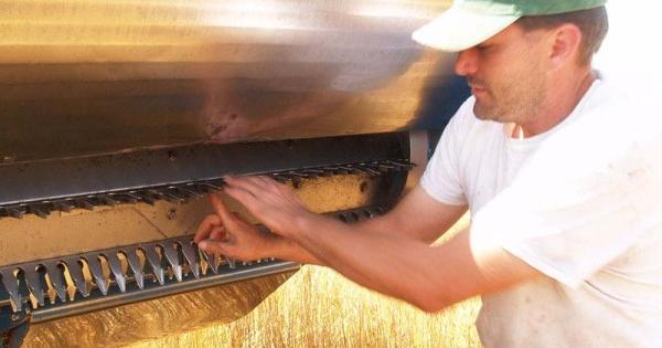 Kadrmas’ stripper header efficiently strips head off wheat stems