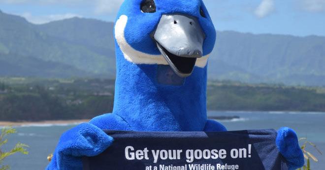 Meet the Big Blue Goose – Mascot of National Wildlife Refuge System