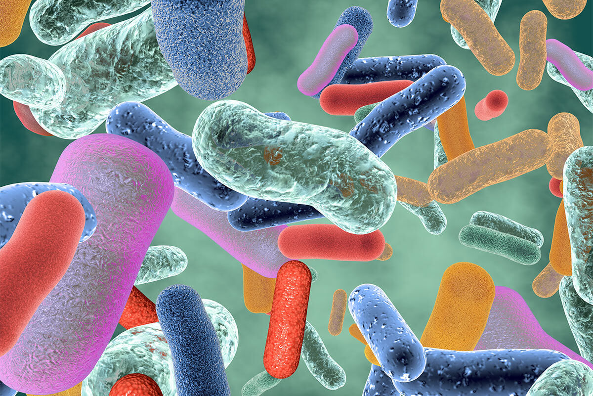 New research program to study nutrient exchanges