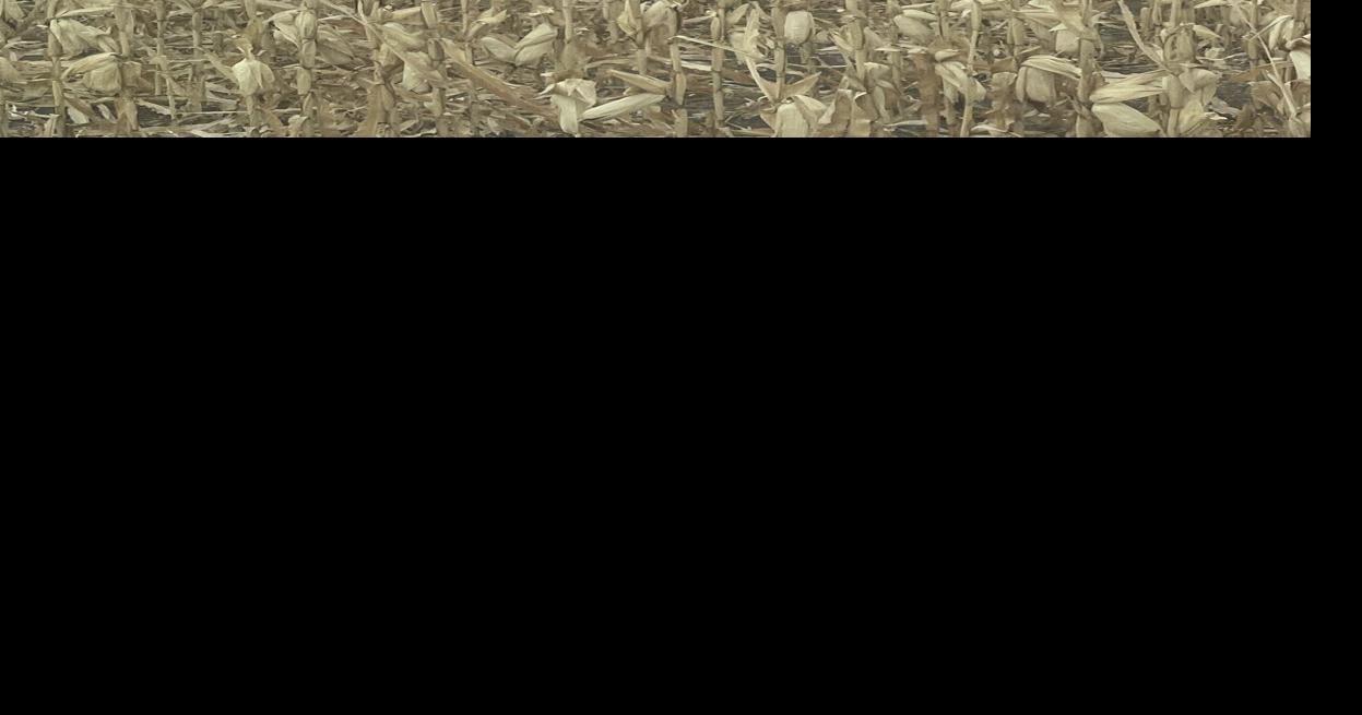 The harvest push is over in southeastern South Dakota