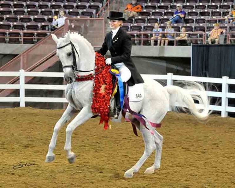 Top U.S. dressage horse from Bismarck dies